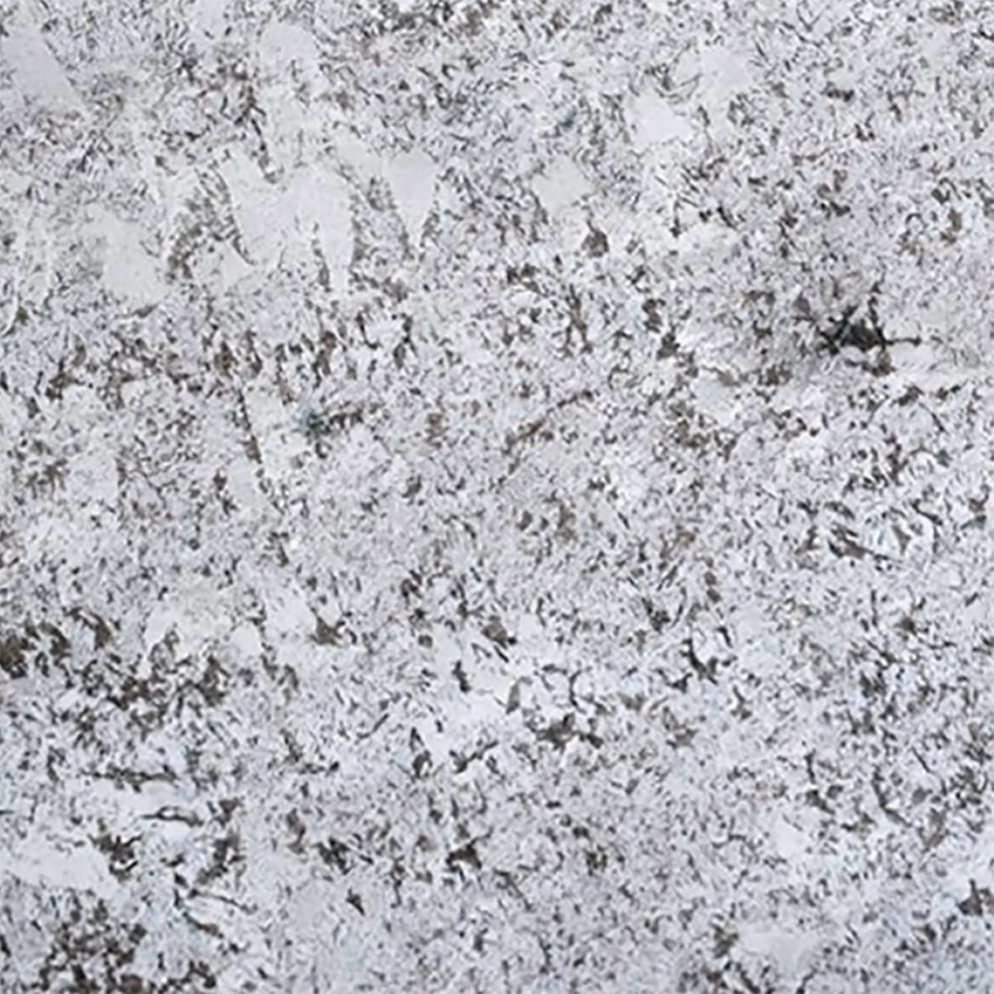 Bianco Antico Granite Slabs | GENROSE Stone + Tile