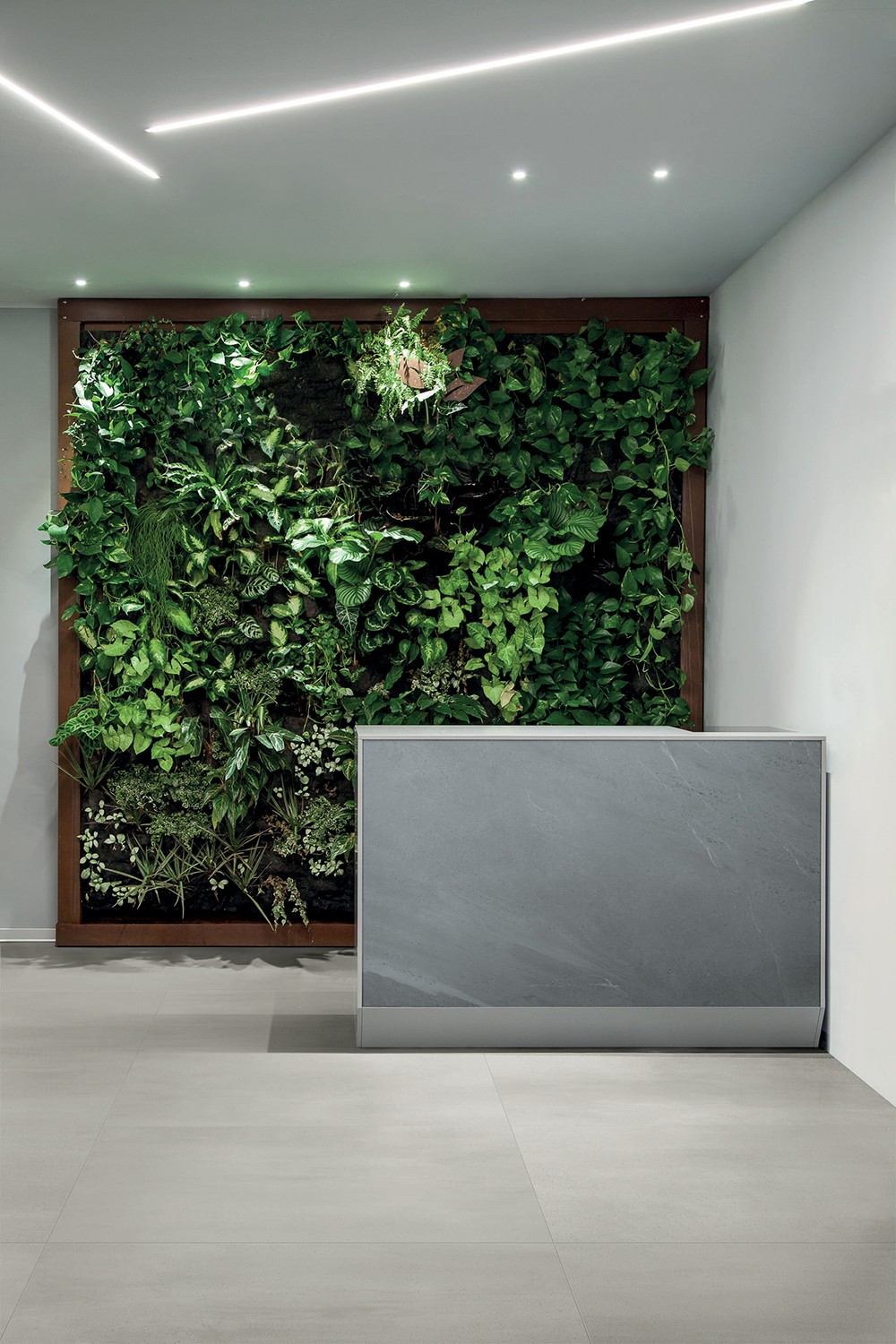 Code Yard Matte 24"x48 | GENROSE