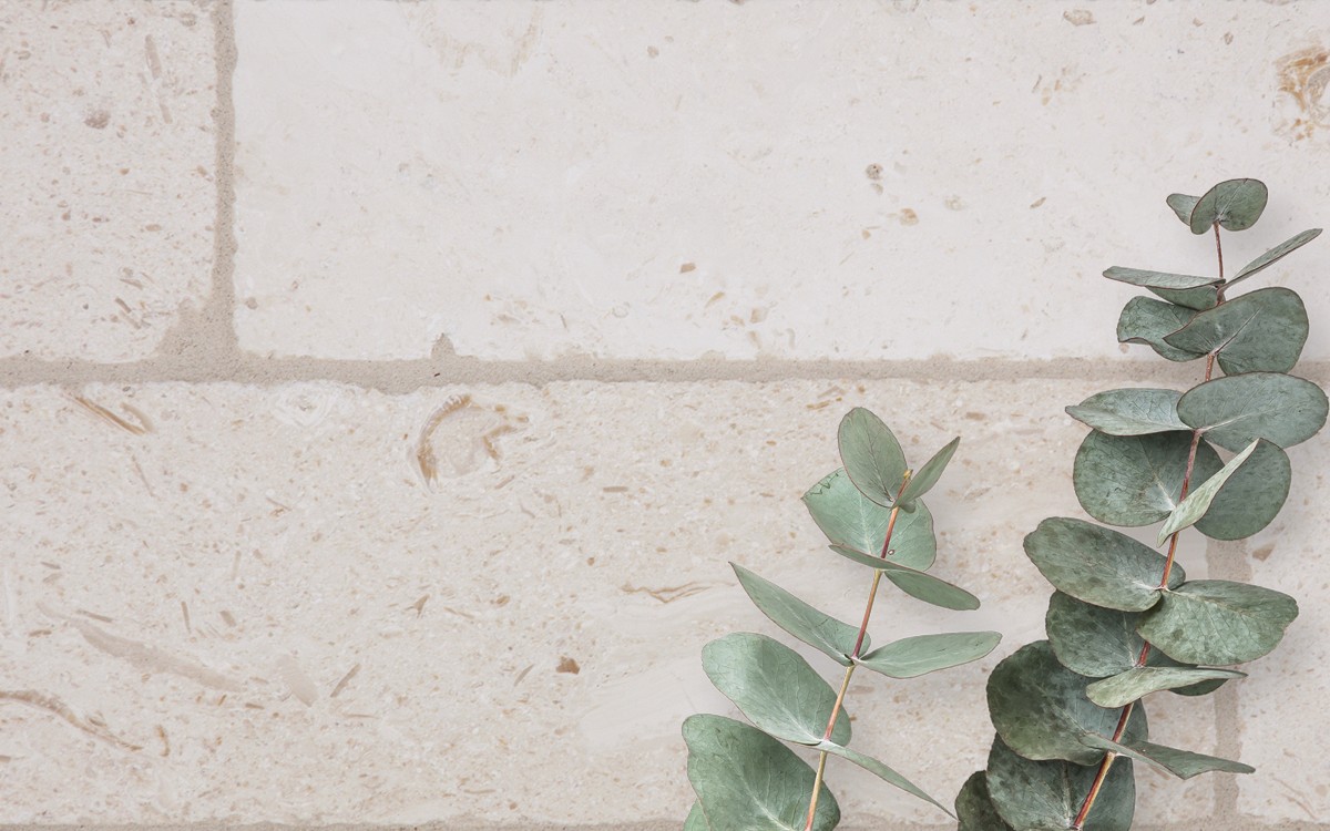 Irish Cream Irish Cream Tumbled 3"x9 Natural Stone Tile | GENROSE