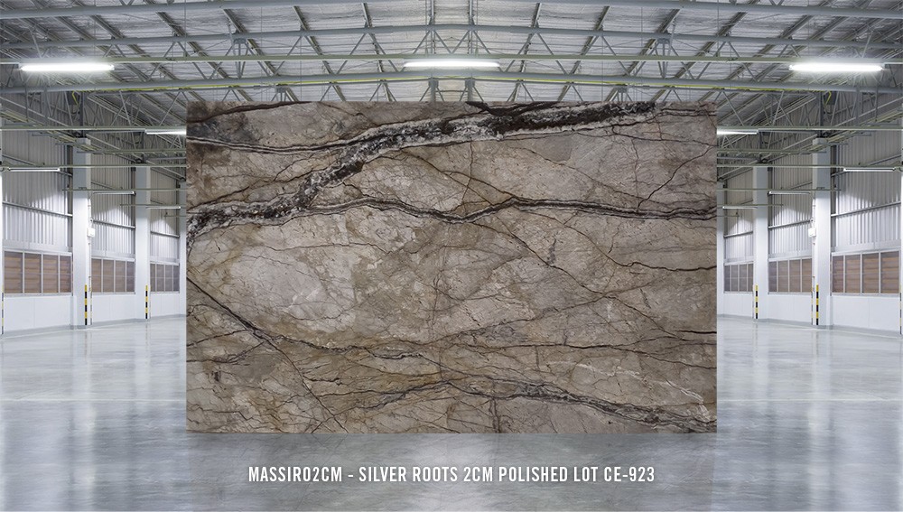 Silver Roots Slab Silver Roots Polished 2cm Slabs | Natural Stone | GENROSE