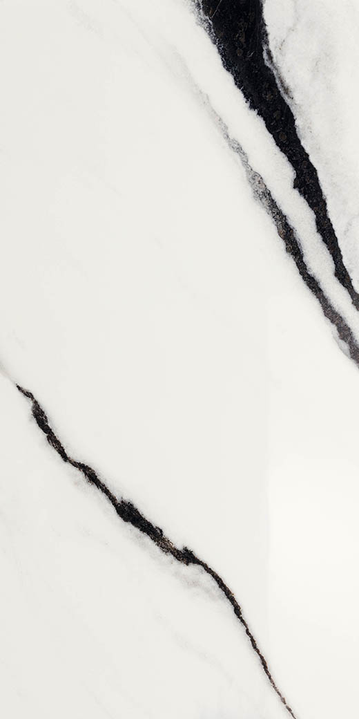Charm Panda White Polished 24"x48 Porcelain Tile | GENROSE