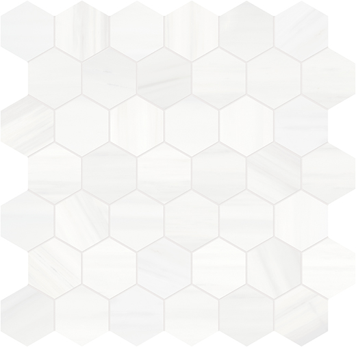 Cosmo L-mino Dolomite Honed 2" Hexagon Natural Stone Tile