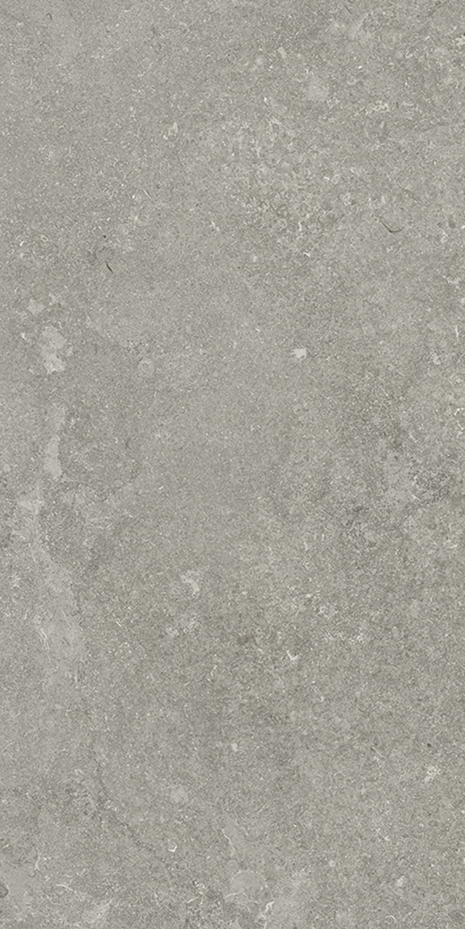 Exeter Fossil Cross-Cut Matte 12"x24 Porcelain Tile | GENROSE