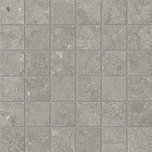 Exeter Fossil Cross-Cut Matte 2"x2 Porcelain Tile | GENROSE